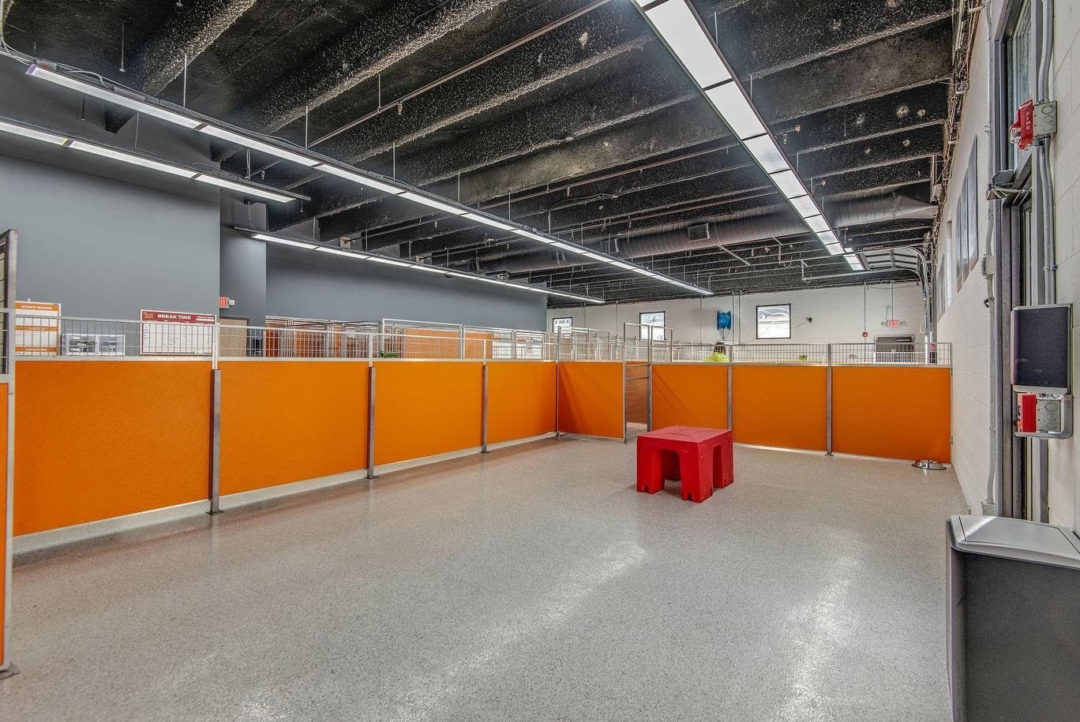 Boarding - Bark Public